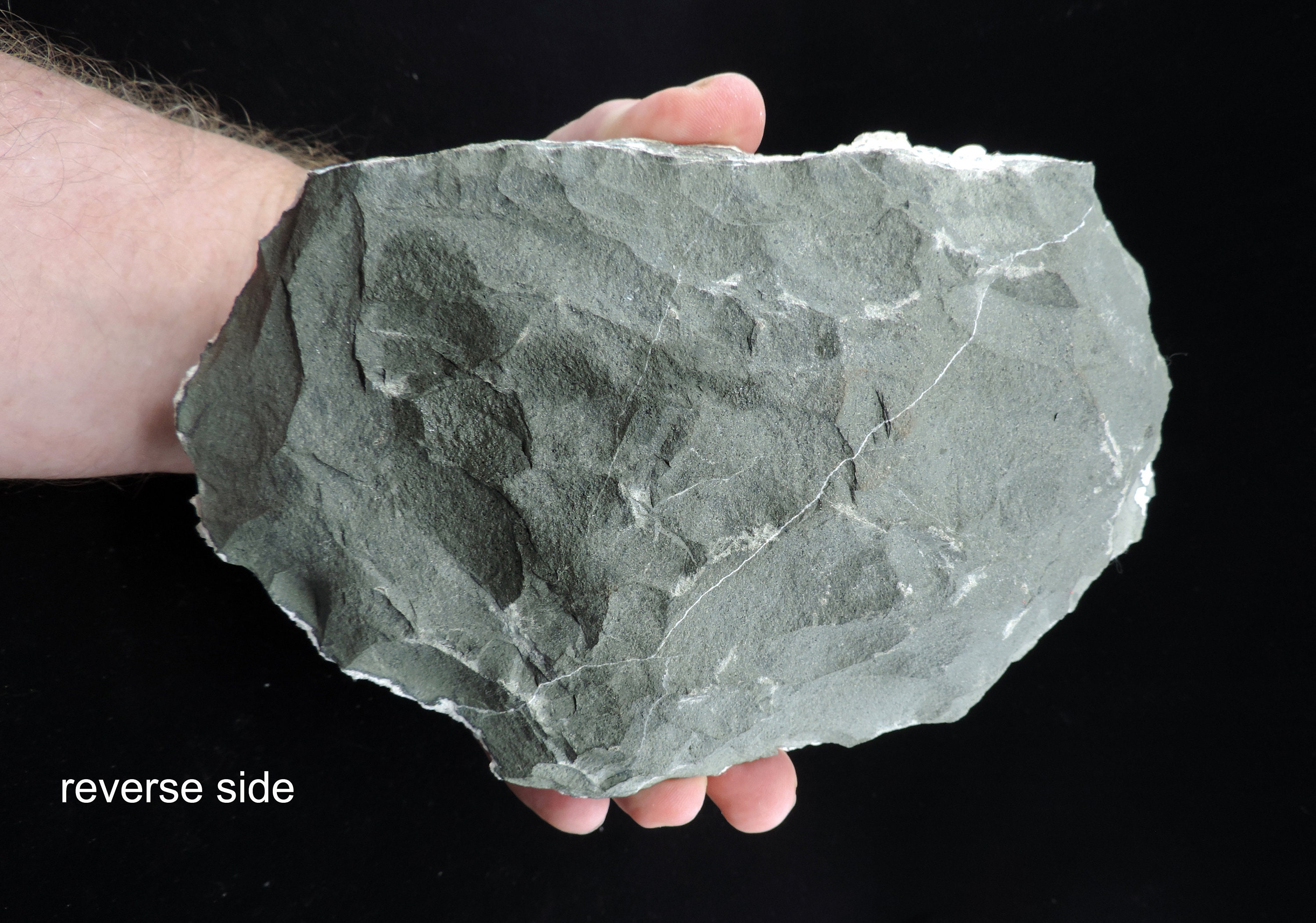 Stunning Extra-large Cabinet Sized Plate With Delicate White - Etsy