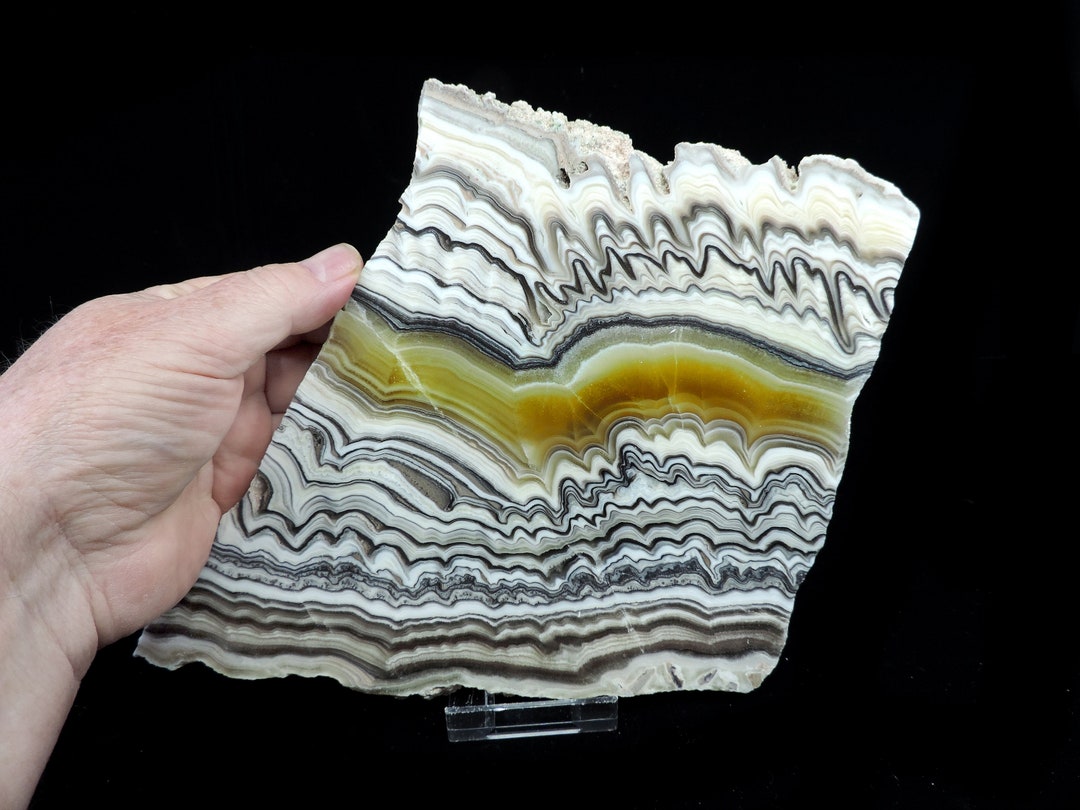 Extra Large Polished Slab Featuring Finely Banded White, Black and ...