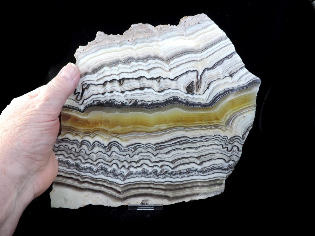 Extra Large Polished Slab Featuring Finely Banded White, Black and ...