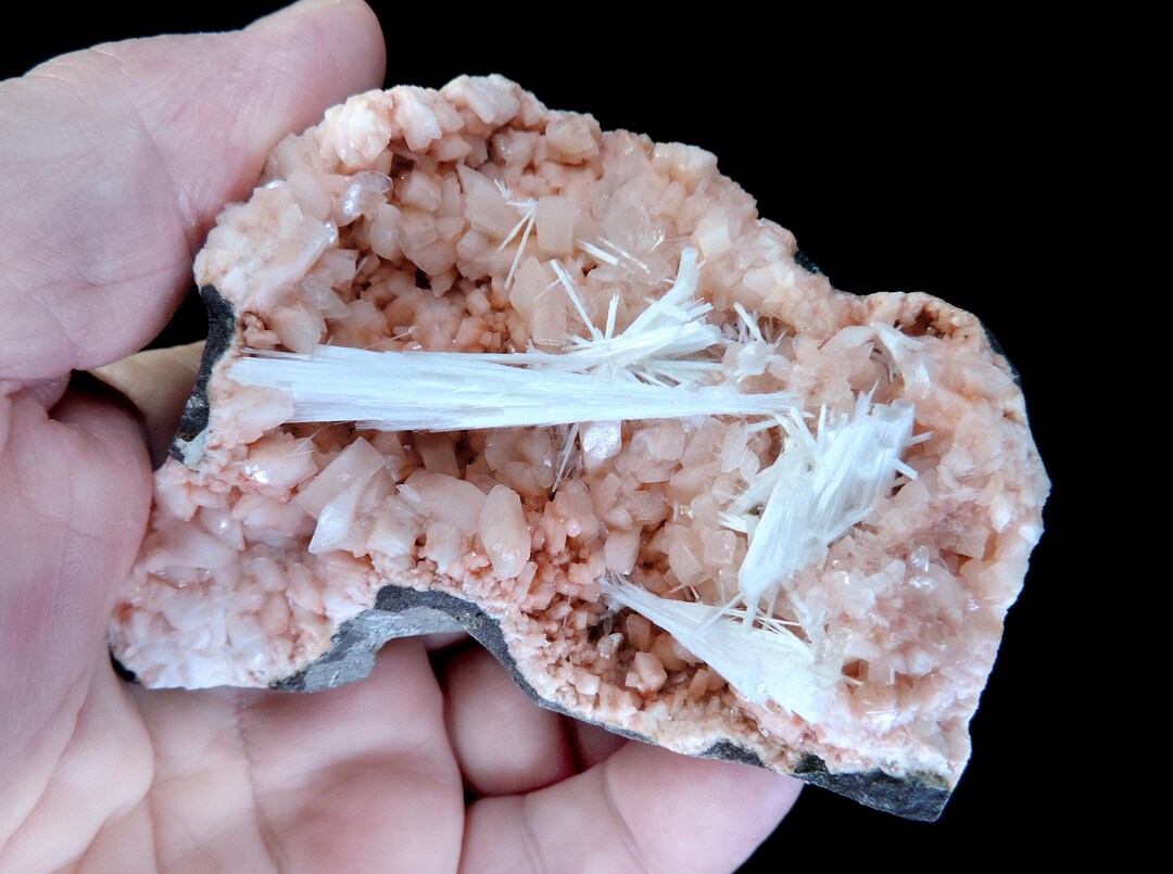 Cave-like Basalt Geode Featuring Long White Scolecite Needles on Pink ...