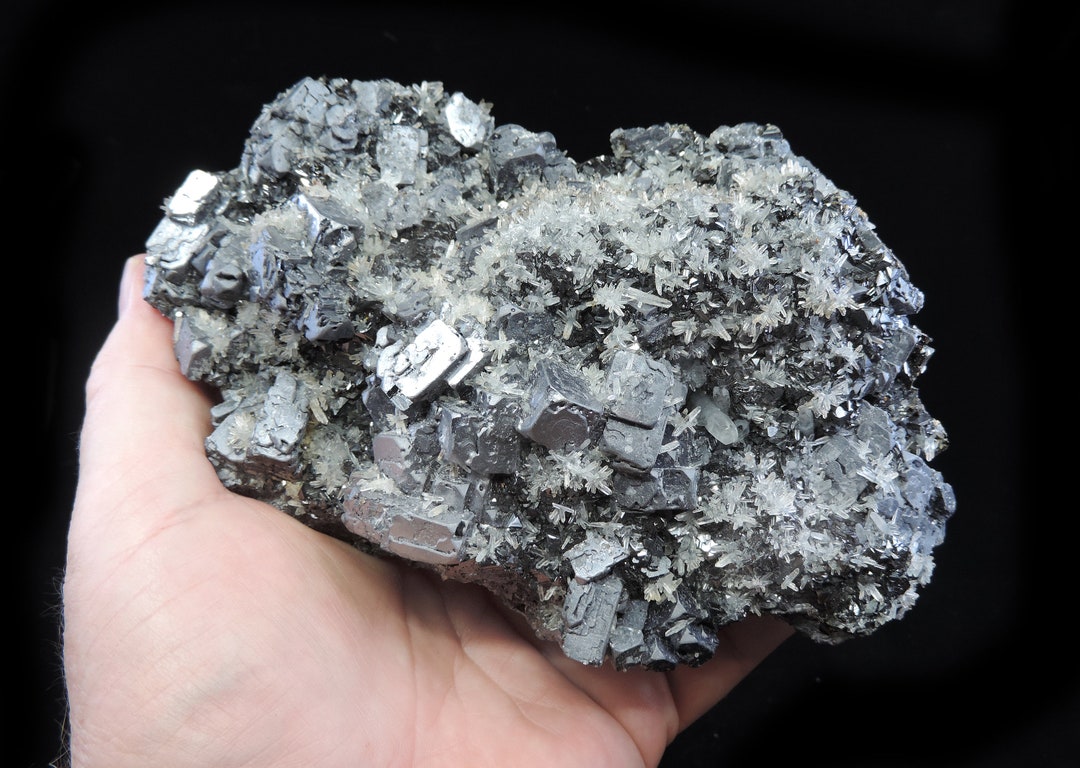 Large Showy Block Featuring Lustrous Silvery Galena Crystals up to 2 Cm ...