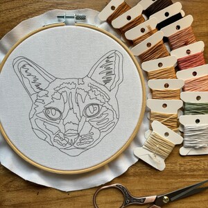 Orange Tabby Cat Embroidery Kit: DIY Pet Portrait - Etsy