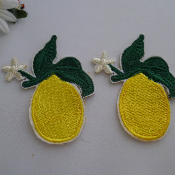 Embroidered Lemon - Etsy