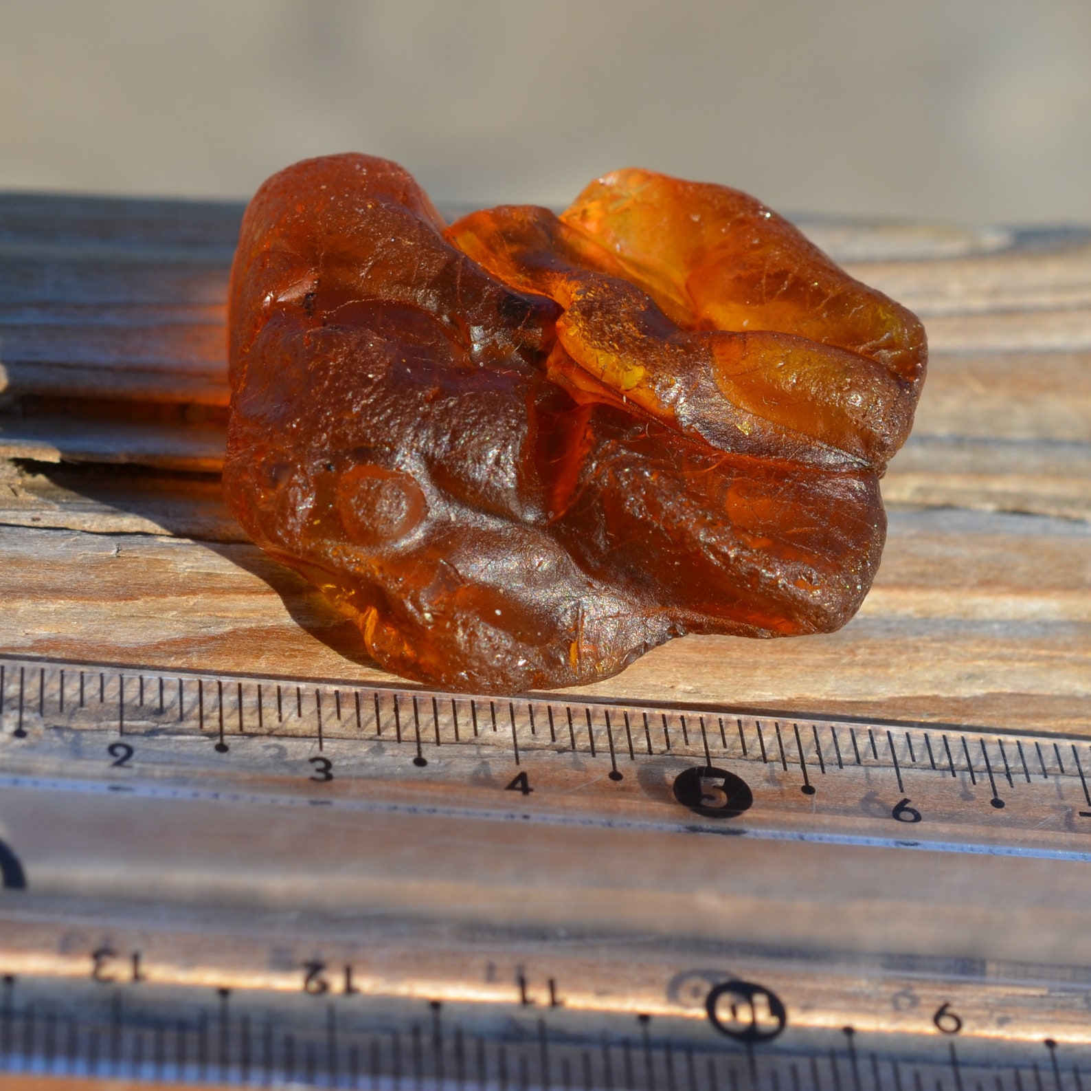 Lithuanian Raw Amber Stone, Caught of Baltic Sea, 10.5 Grams - Etsy