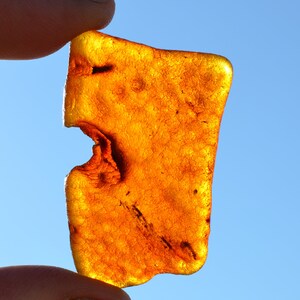 Baltic Sea Amber/ Raw Amber Nugget/ Untreated Unpolished Amber Stone/ 8 ...