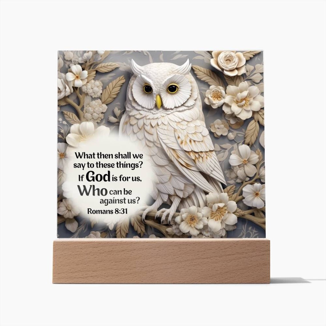 Image of 3D Owl Art Print on Acrylic Desk Plaque With Christian Bible ...