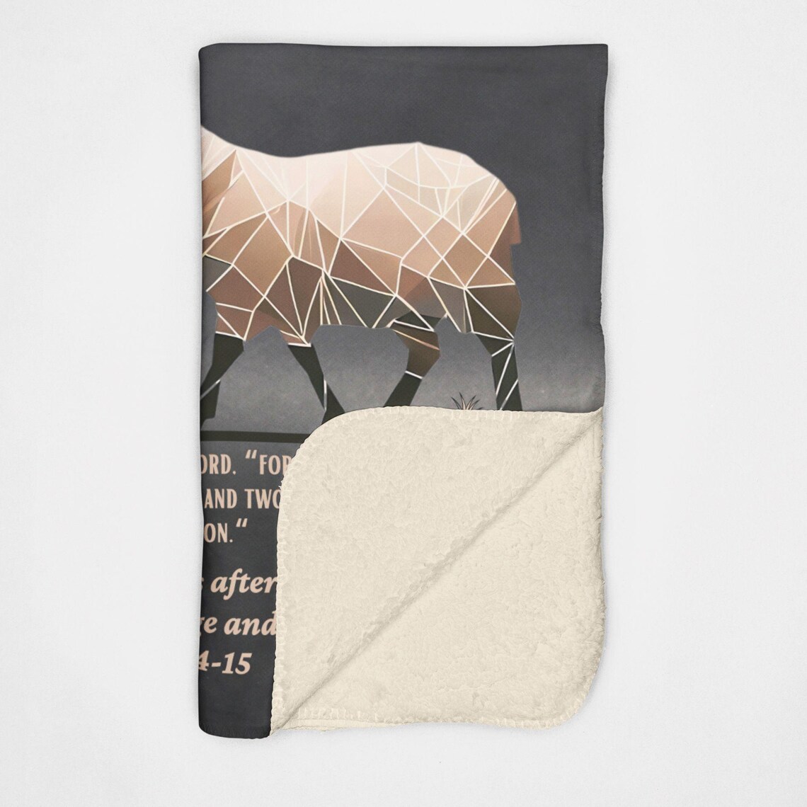 Pastor Appreciation Gift Blanket, Personalized Religious Sherpa Blanket ...