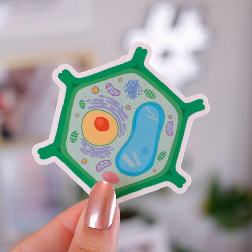 Prokaryotic Cell Sticker Biology Science Sticker Science Nerd - Etsy