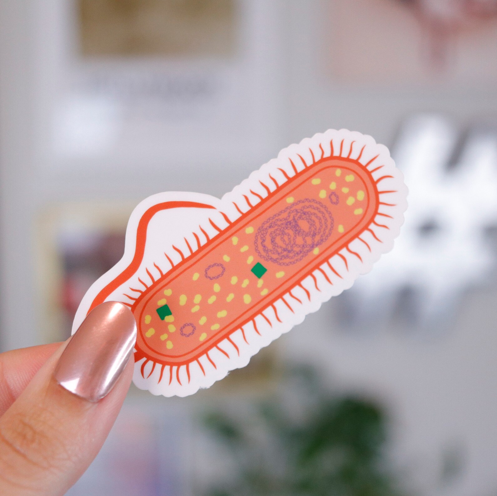 Prokaryotic Cell Sticker Biology Science Sticker Science Nerd | Etsy