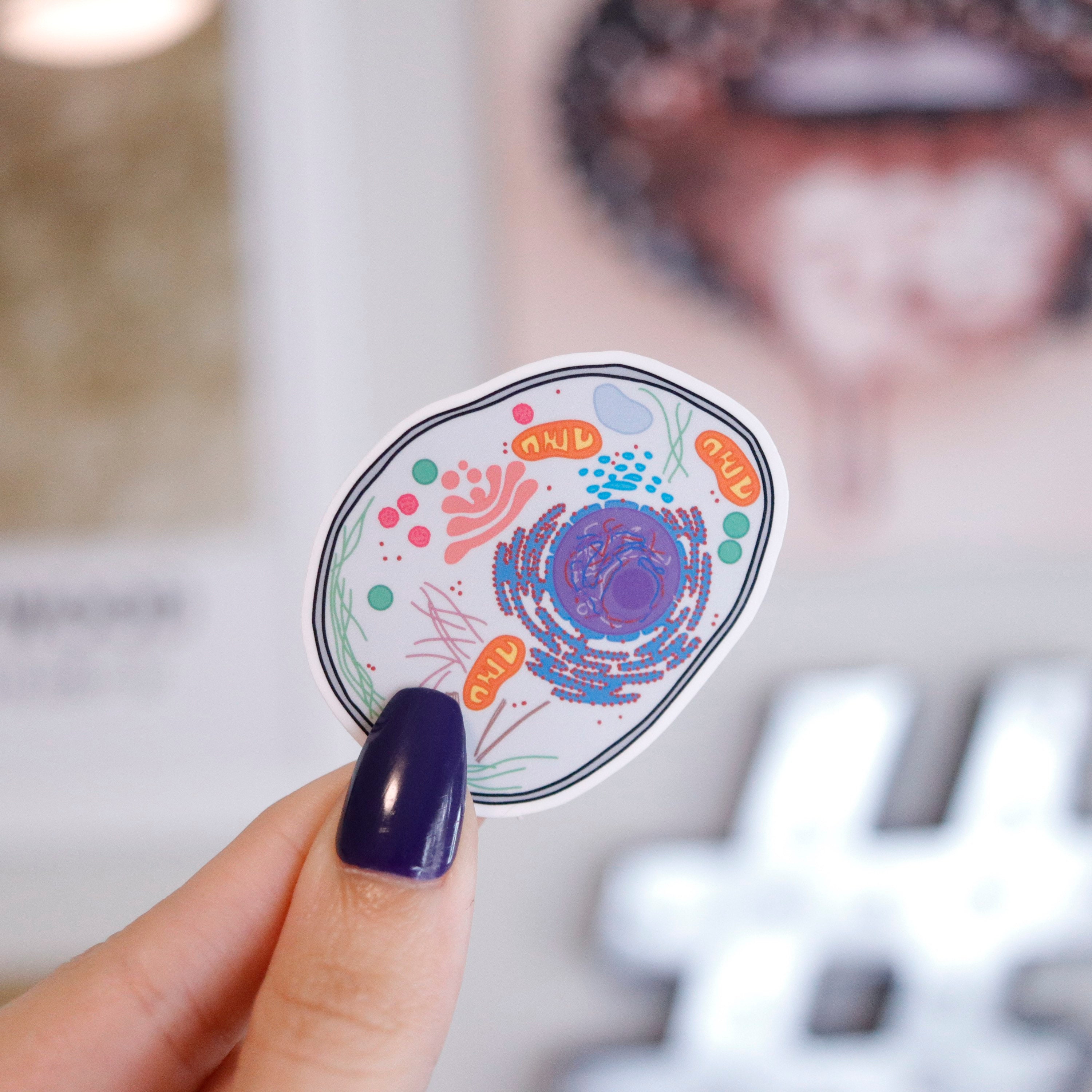 Eukaryotic Cell Sticker Biology Science Sticker Science Nerd - Etsy