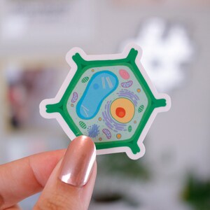 Plant Cell Sticker Biology Science Sticker Science Nerd Holiday Gift - Etsy
