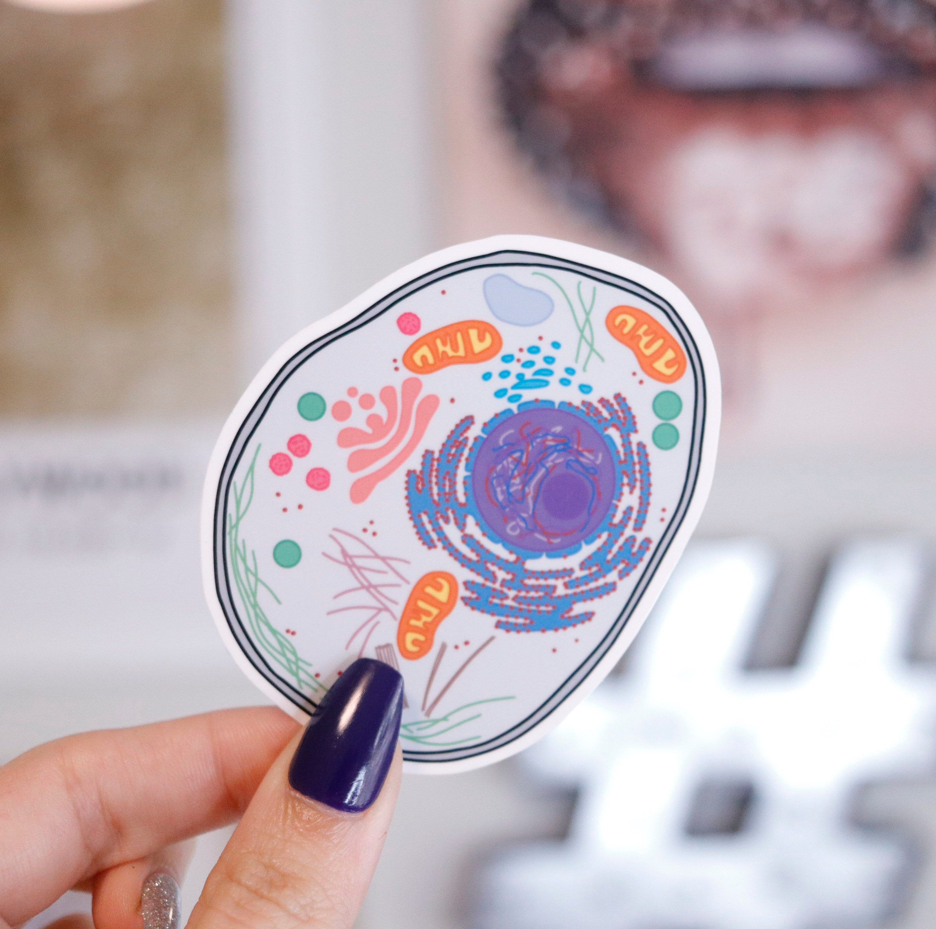 Eukaryotic Cell Sticker Biology Science Sticker Science Nerd - Etsy