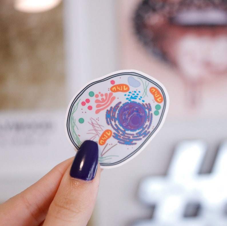 Eukaryotic Cell Sticker Biology Science Sticker Science Nerd - Etsy