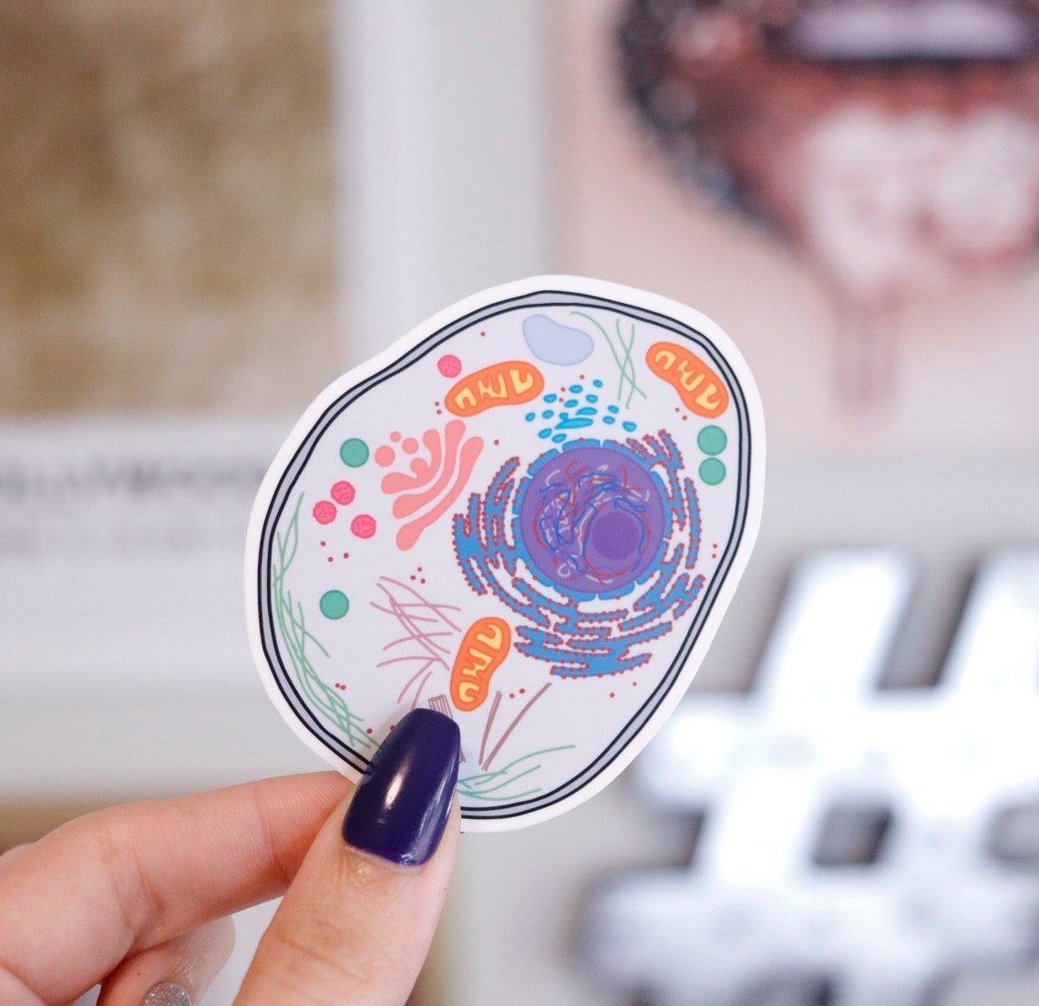 Eukaryotic Cell Sticker Biology Science Sticker Science Nerd - Etsy