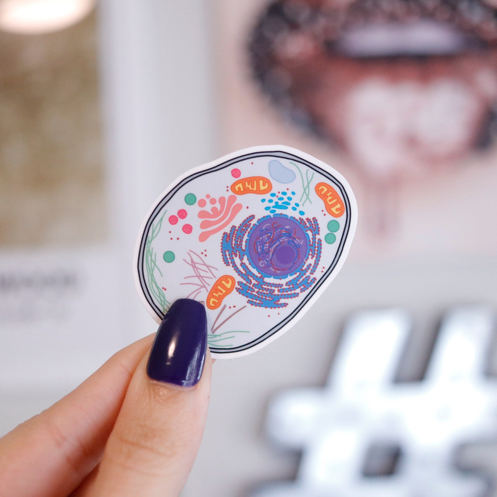 Eukaryotic Cell Sticker Biology Science Sticker Science Nerd - Etsy