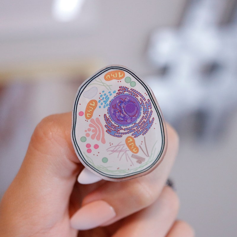 Biology Jewellery - Etsy