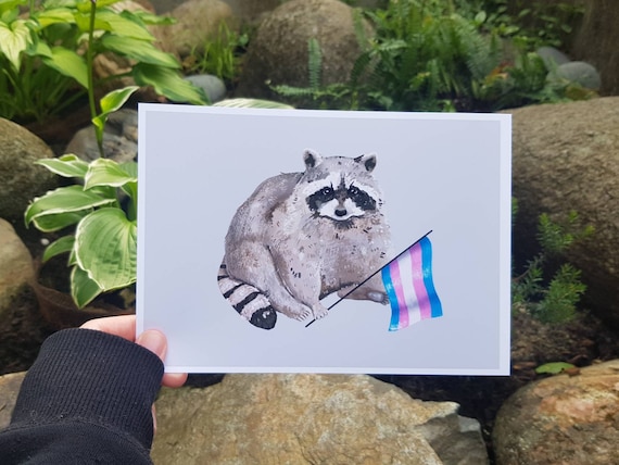Trans Pride Flag Raccoon Art Print Transgender Queer Gift - Etsy UK