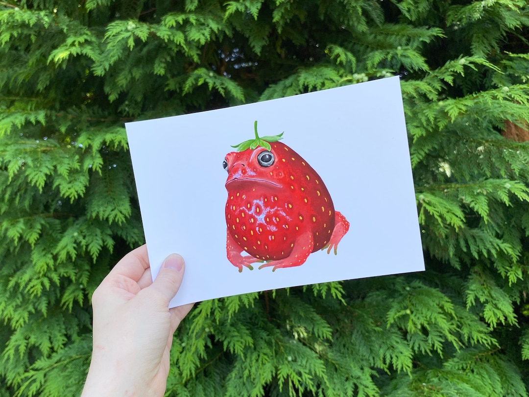 Strawberry Toad Art Print Fruit Drawing, Frog Lover Art, Abstract ...
