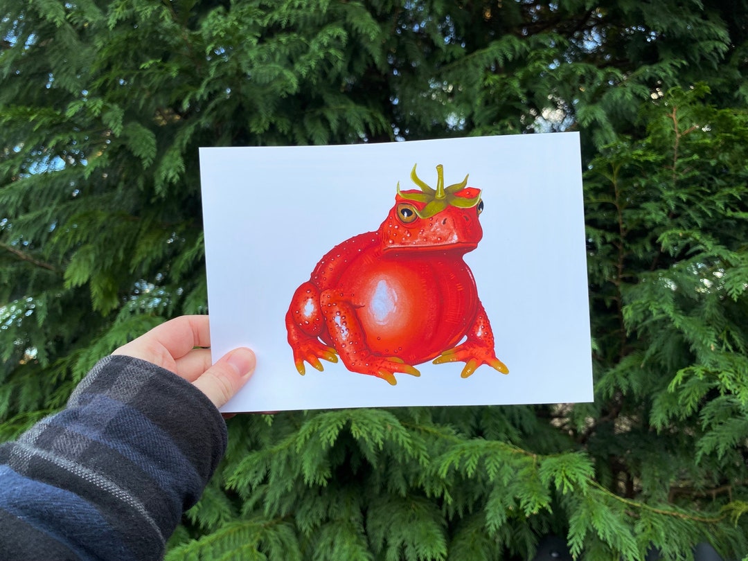 Tomato Toad Art Print Fruit Drawing, Frog Lover Art, Abstract Animal ...