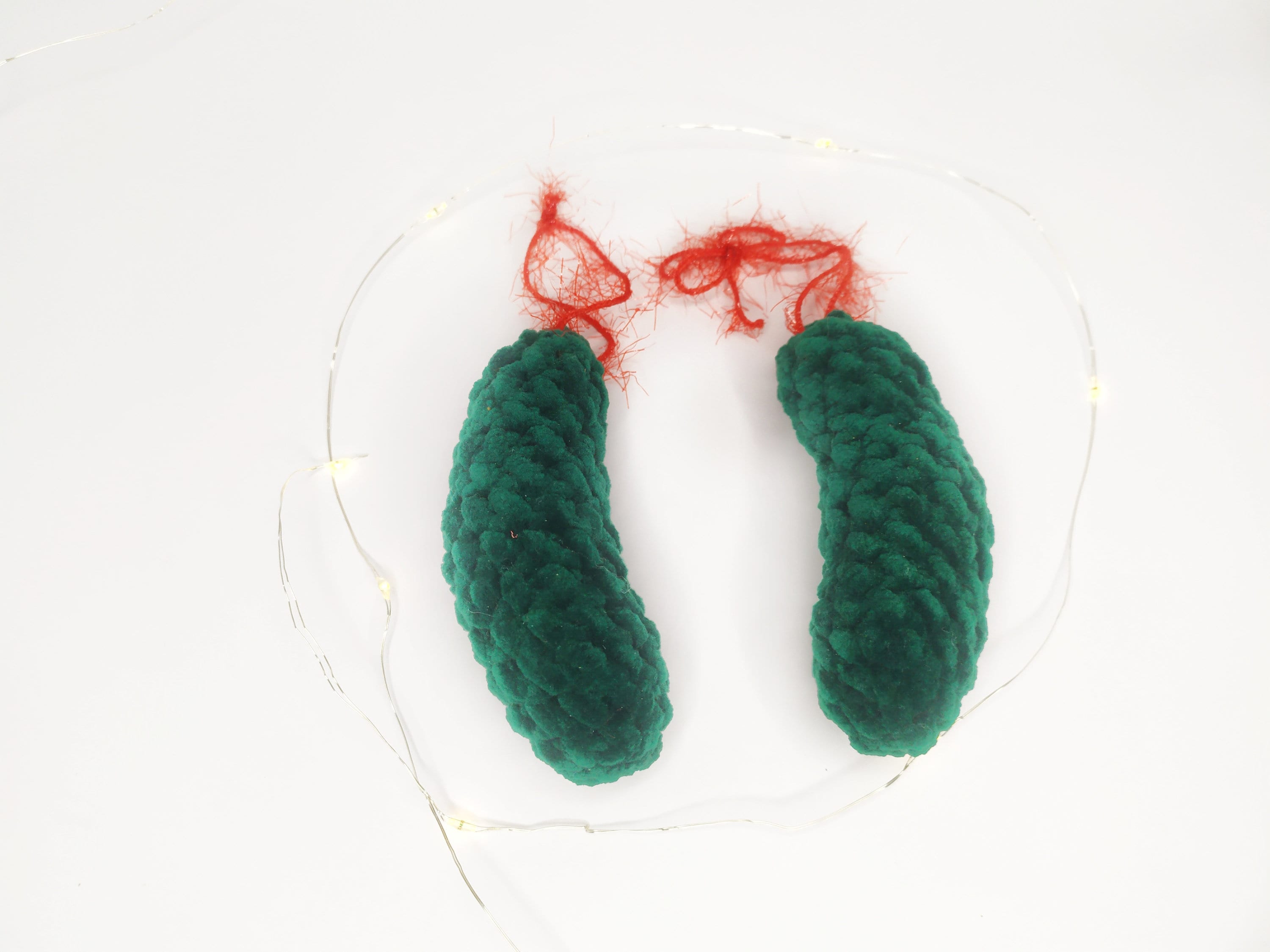 Christmas Pickle Ornament Easy Crochet Pattern for Beginners | Etsy