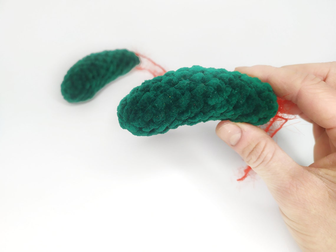 Christmas Pickle Ornament Easy Crochet Pattern for Beginners | Etsy