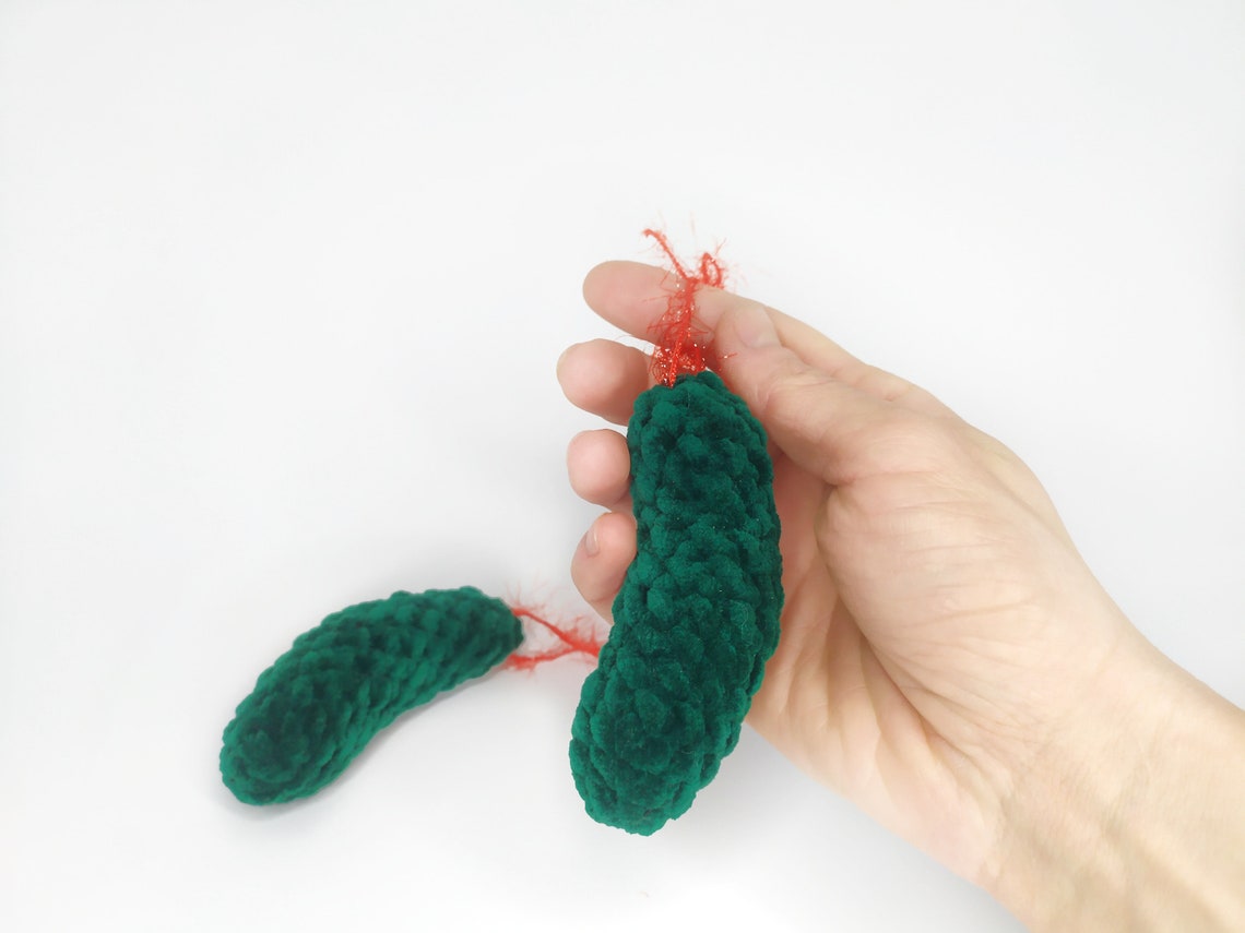 Christmas Pickle Ornament Easy Crochet Pattern for Beginners | Etsy