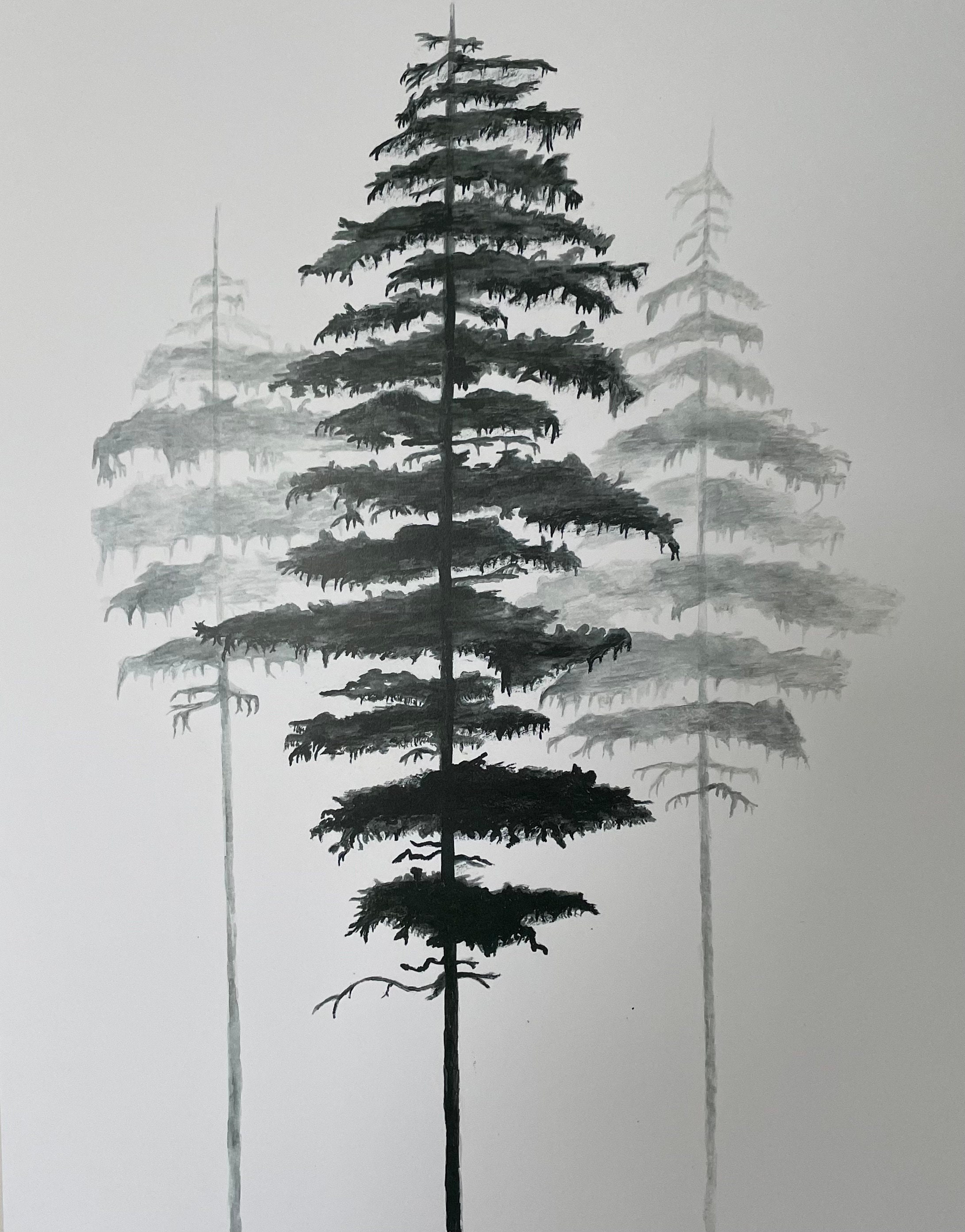 Watercolour Trees - Etsy