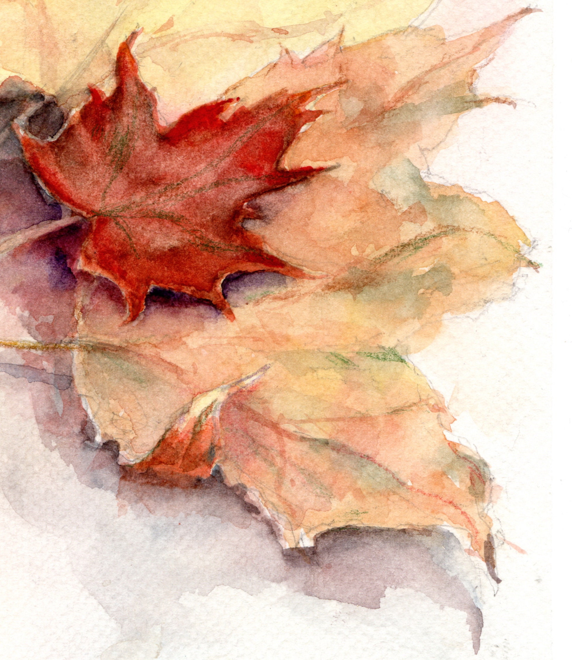 Original Watercolor "autumn Leaves." - Etsy