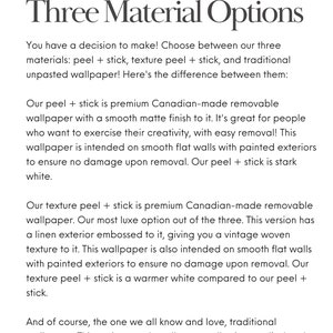 Euclid Wallpaper. 2024. Peel and Stick and Traditional Options ...