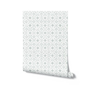 Euclid Wallpaper. 2024. Peel and Stick and Traditional Options ...