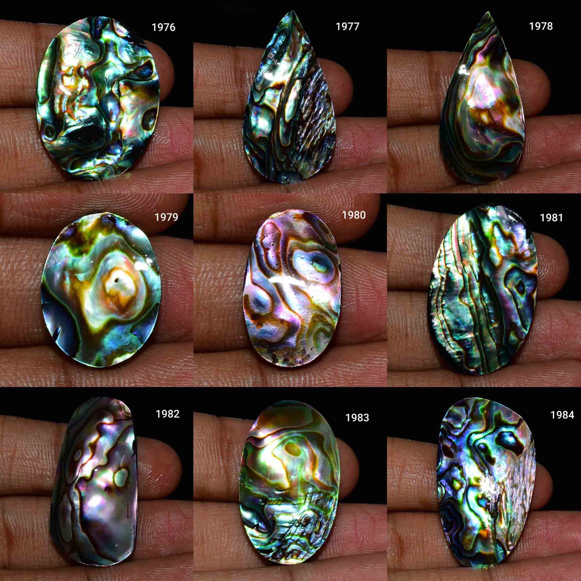 Beautiful Abalone Shell Cabochon Abalone Shell Gemstone - Etsy Australia