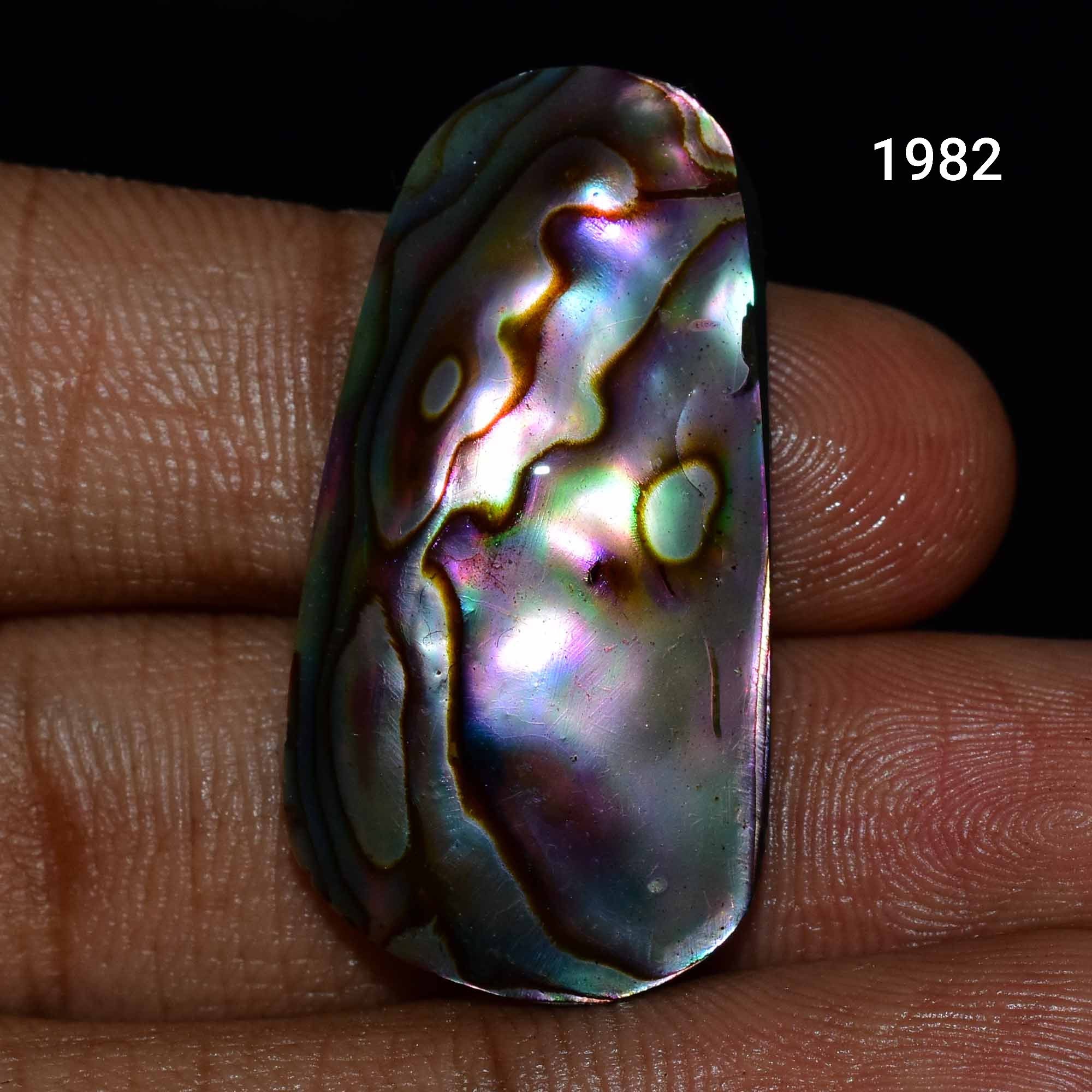Beautiful Abalone Shell Cabochon Abalone Shell Gemstone - Etsy Australia