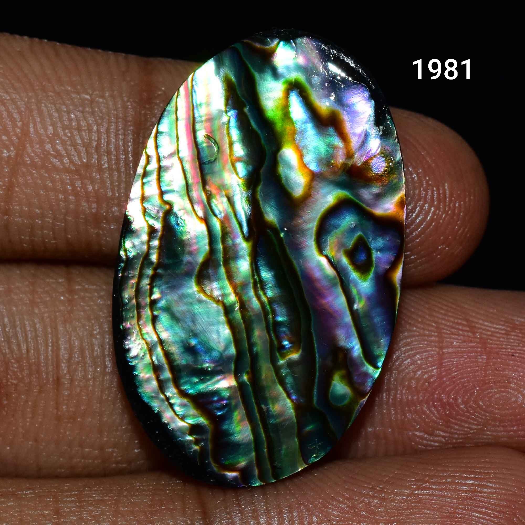 Beautiful Abalone Shell Cabochon Abalone Shell Gemstone - Etsy Australia