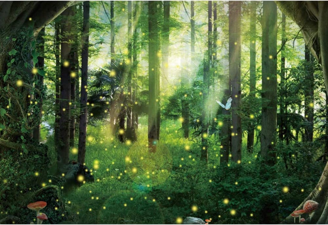Magic Fantasy Forest Backdrop Fireflies Forest Backdrop Fairy Tale ...