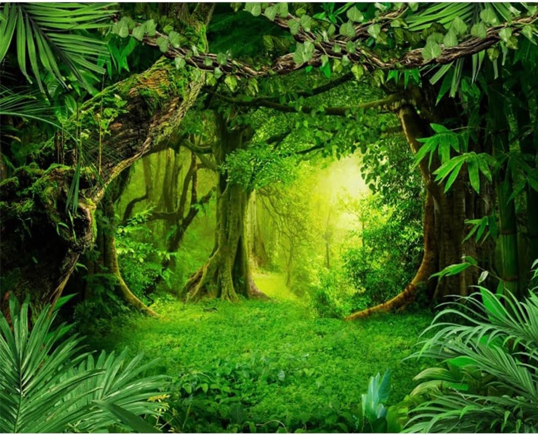 Tropical Enchanted Forest Jungle Backdrop Fairy Tale Forest Background ...