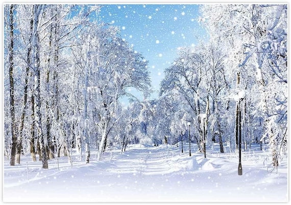 Snowy Forest Backdrop Winter Snow Scene Backdrop Frozen Trees - Etsy