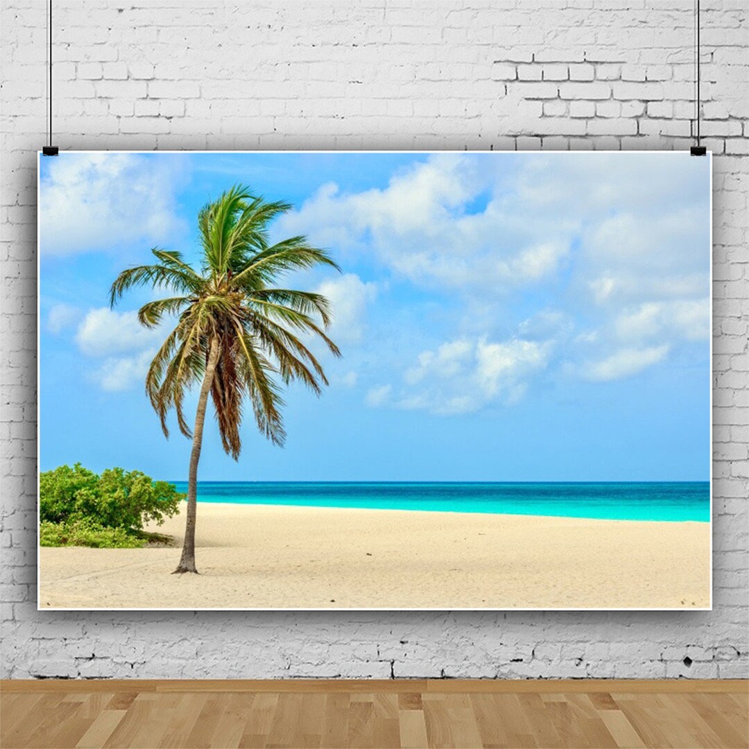 Blue Sky Sea Beach Backdrops Summer White Cloud Ocean Backdrops Wedding ...