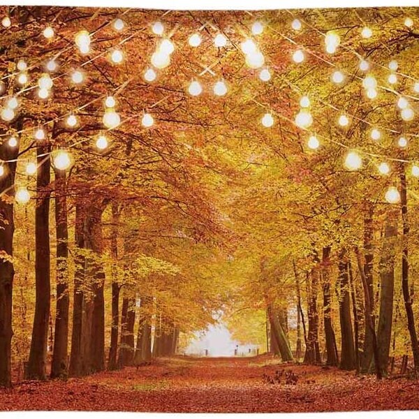 Fall Party Decor - Etsy