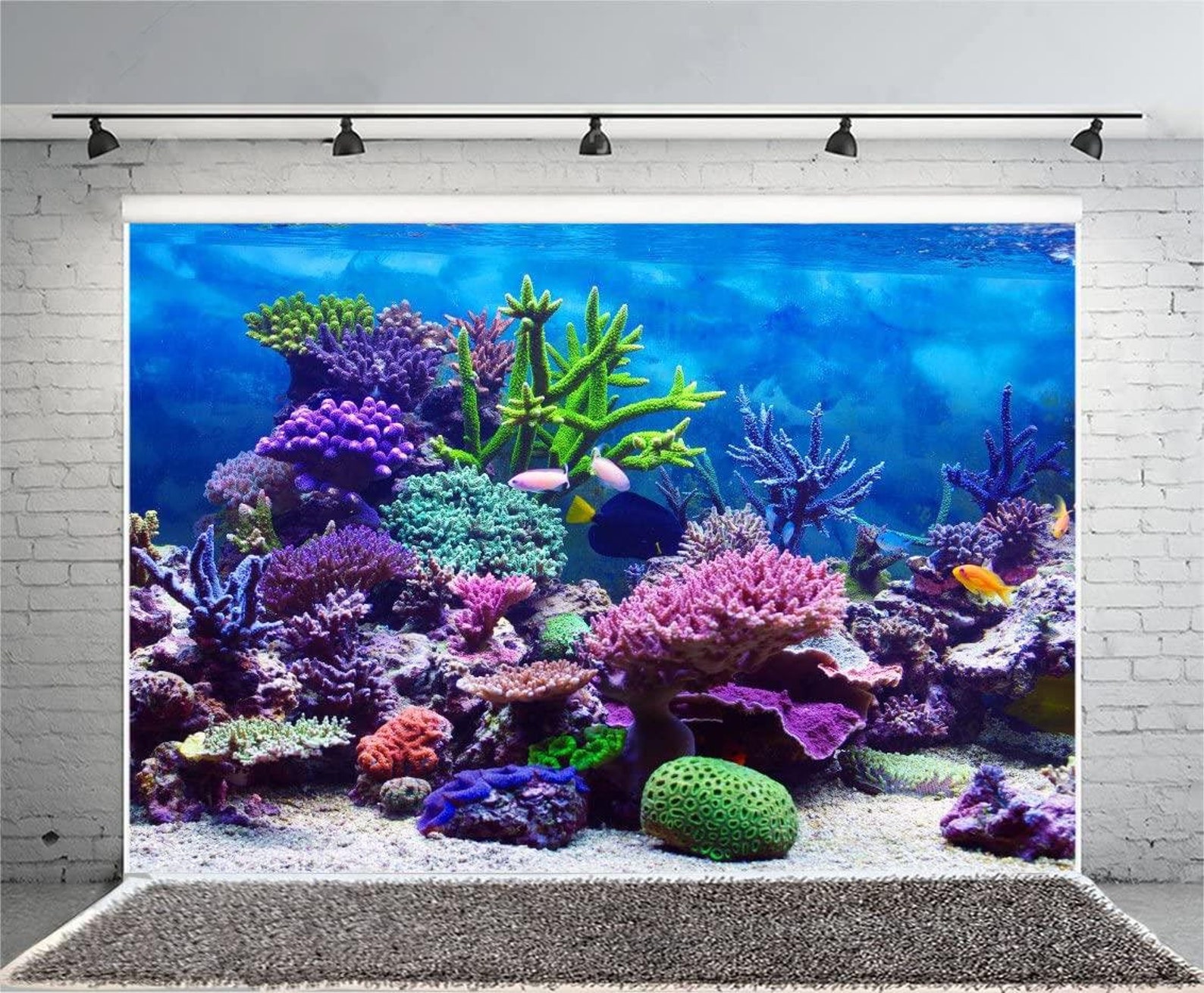 Coral and Fish Backdrop Aquarium Underwater Seascape - Etsy