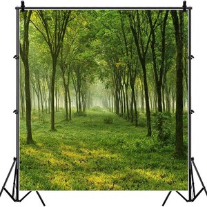 Forest Trees Nature Scenery Backdrops Forest Grass Ground Travel Party ...