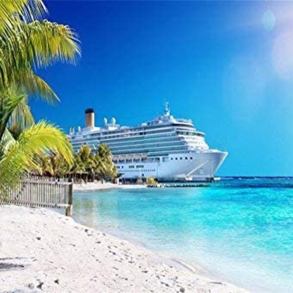Cruise Ship Backdrop - Etsy