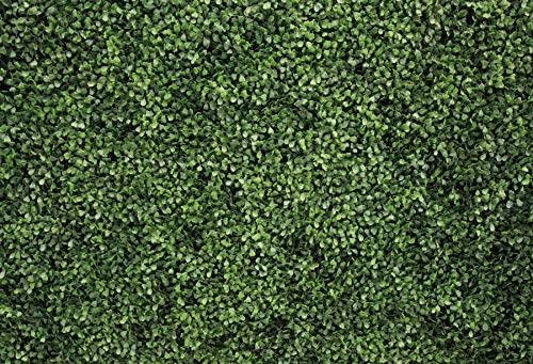 Nature Grass Wall Photography Backdrop Spring Green Leaves - Etsy