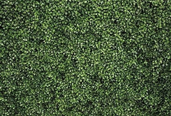 Nature Grass Wall Photography Backdrop Spring Green Leaves - Etsy