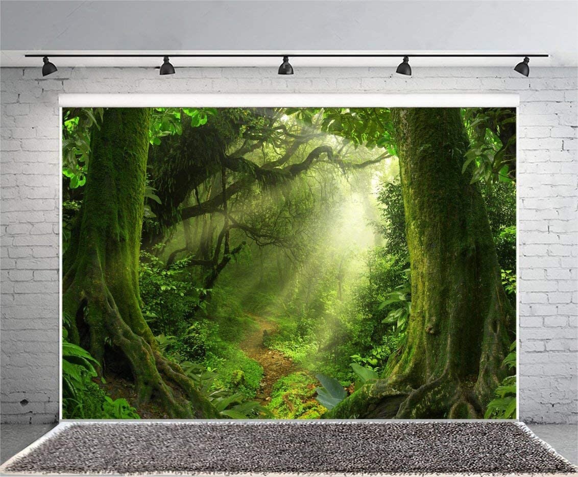 Enchanted Jungle Forest Backdrop Mossy Trees Sun Rays Dirt - Etsy
