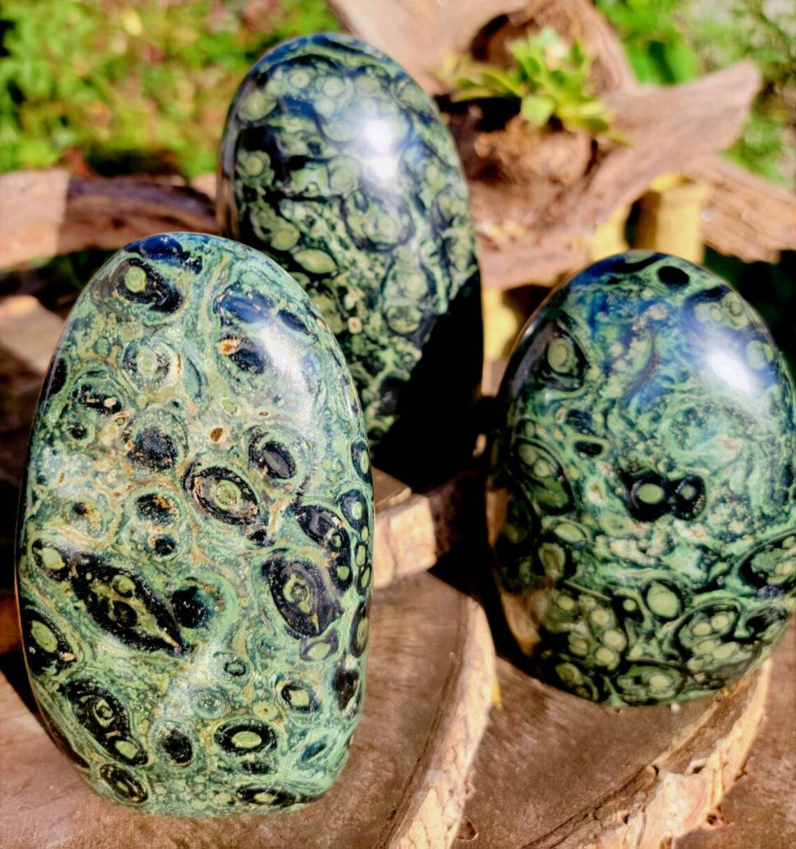 Mesmerizing Kambaba Jasper Freeform, A Rare and Exotic Stone for ...