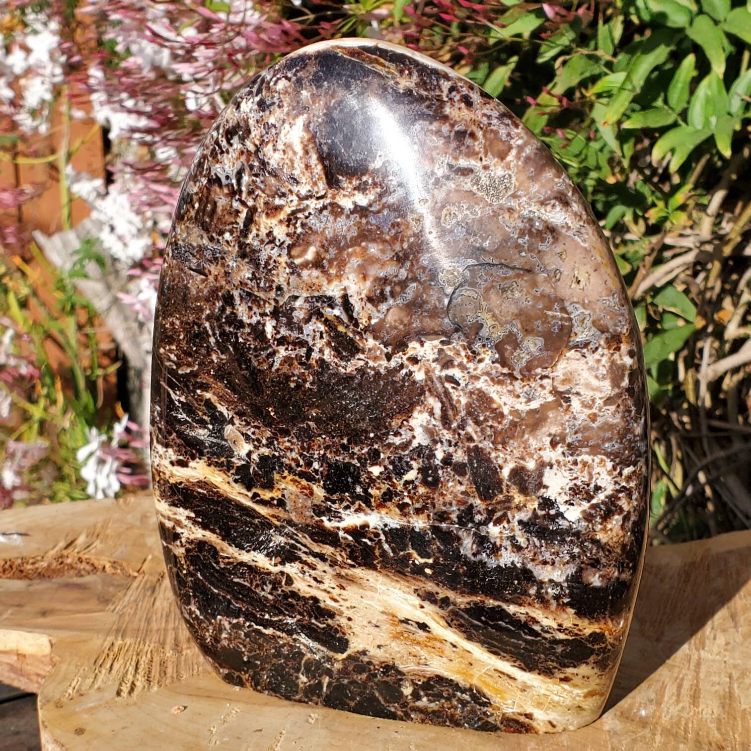 Black Opal Jasper Freeform Polished Black Jasper Protection - Etsy.de