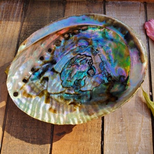 Large Abalone Shell, Colorful Abalone Shell, Natures Painting in a ...