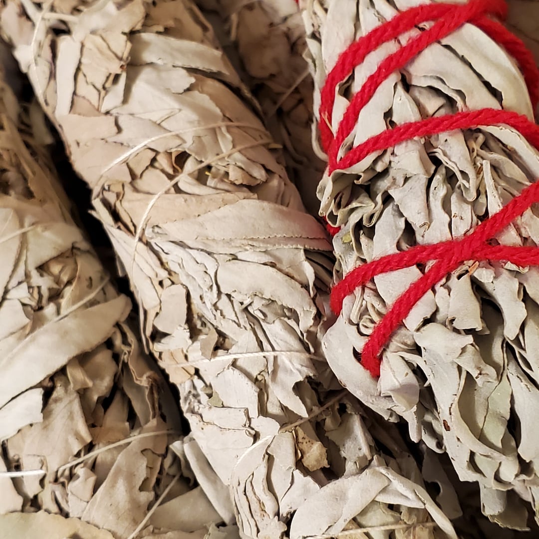 Large Sage Stick, California White Sage, Ethically Sustained Sage ...