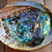 Large Abalone Shell, Colorful Abalone Shell, Natures Painting in a ...