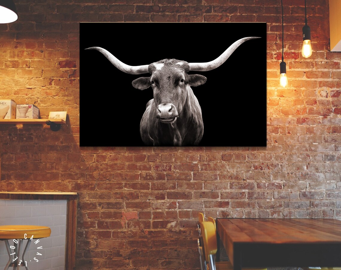 Texas Longhorn Canvas Print // Portrait of Texas Longhorn Cow - Etsy